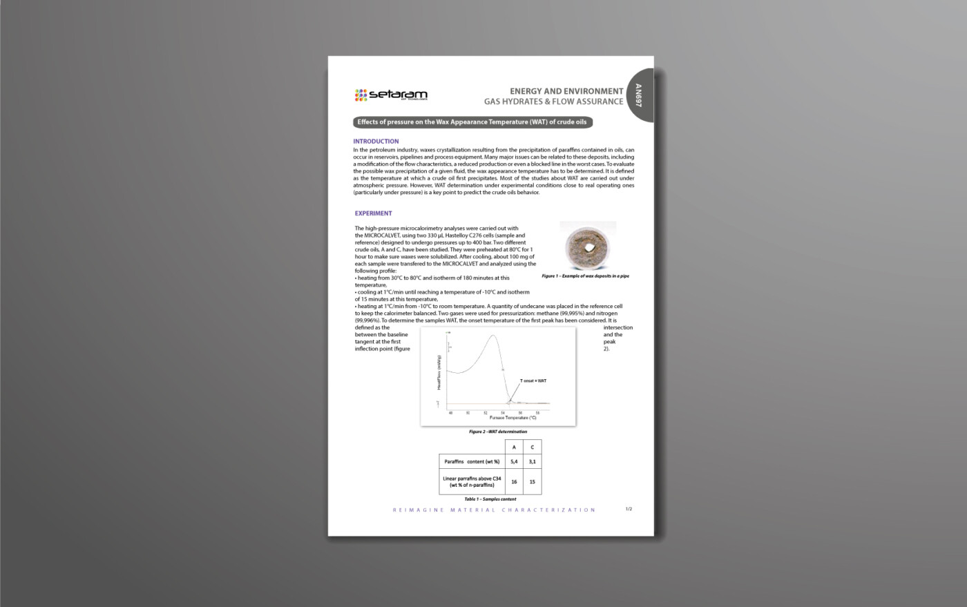 Flow assurance in oil and gas pipelines - SETARAM