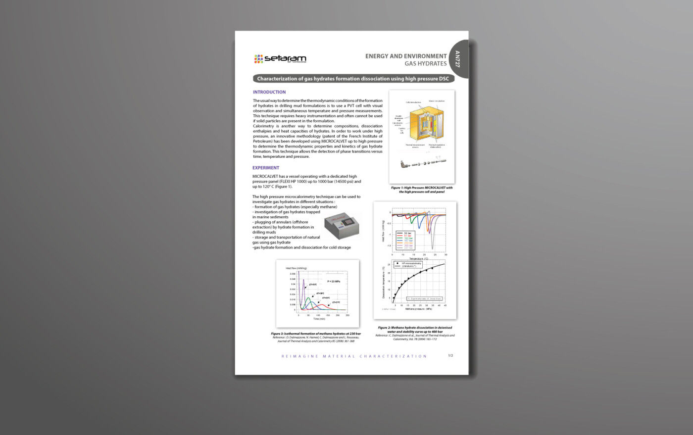 Flow assurance in oil and gas pipelines - SETARAM