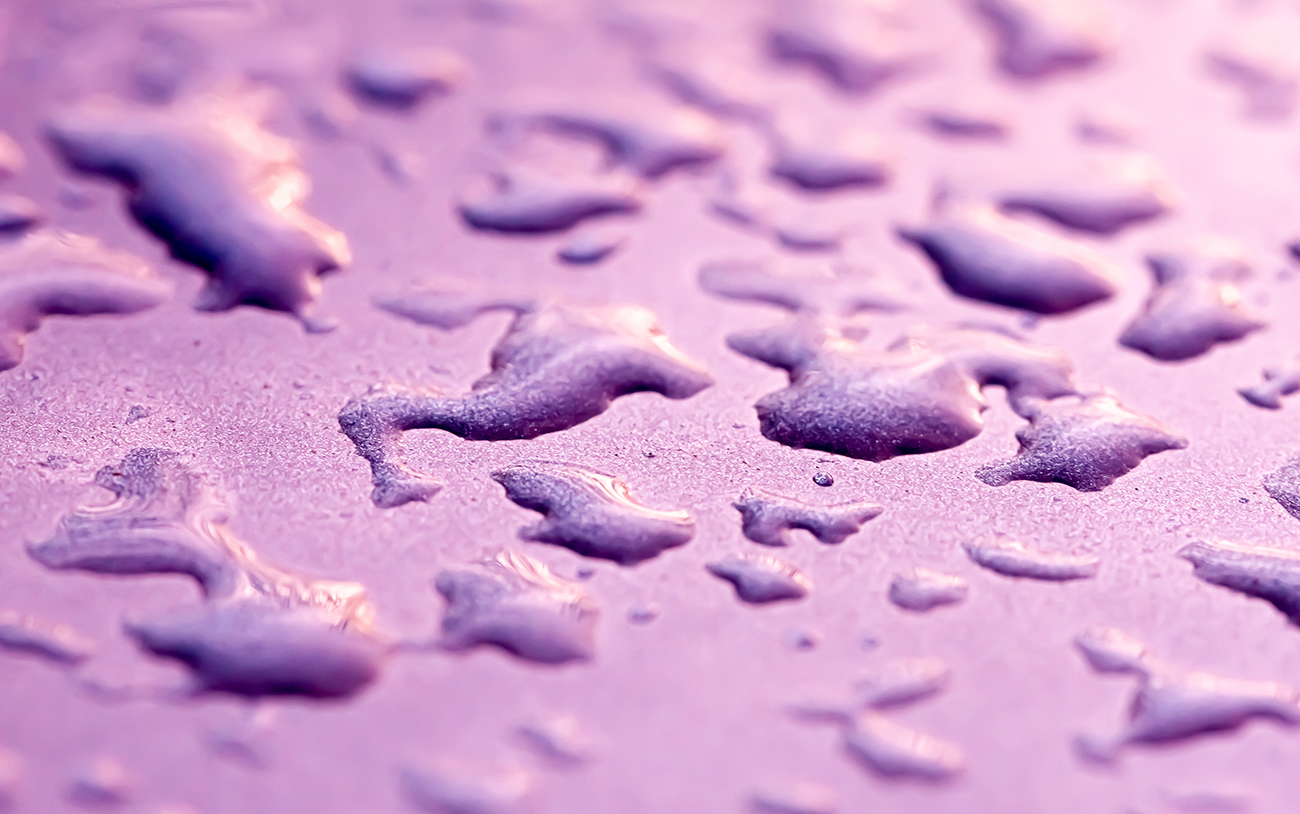 Measuring the influence of moisture on materials - SETARAM