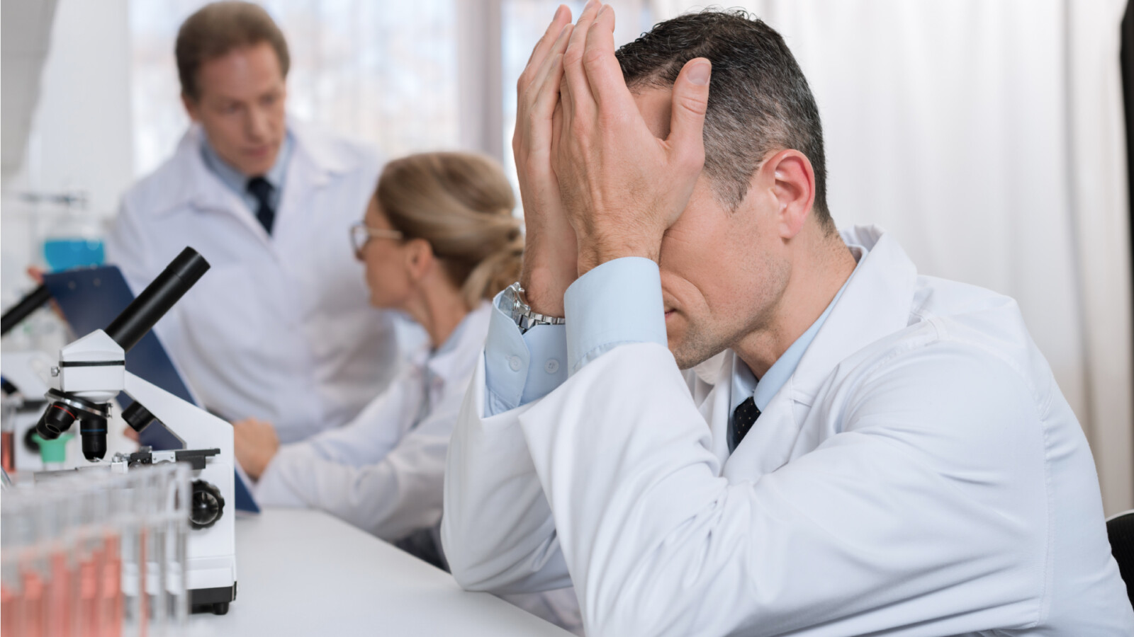 Robots designed by humans - SETARAM